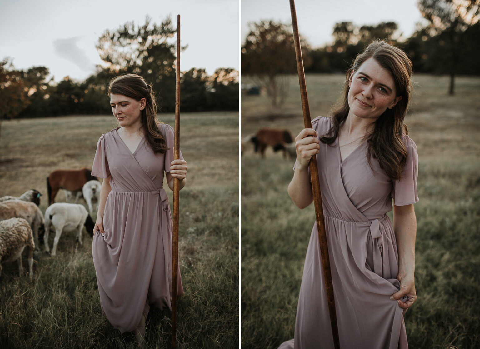 Shiloh Photography – the blog